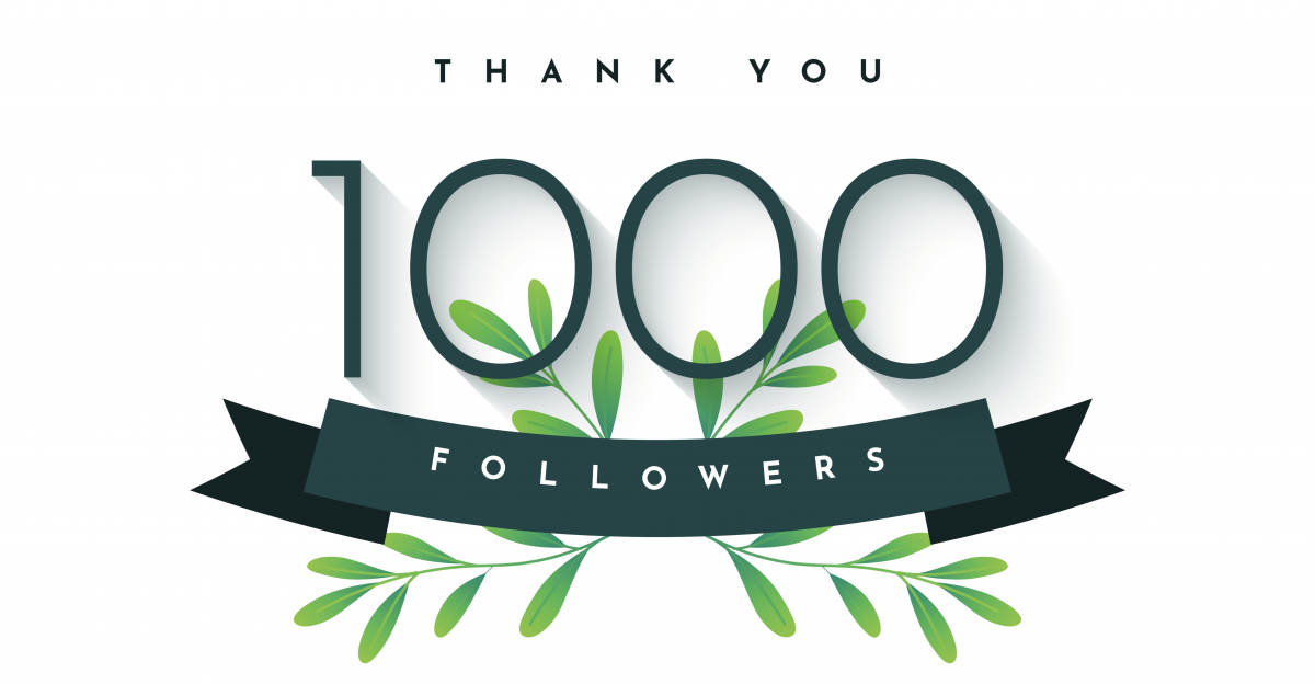 1000 Followers on international LinkedIn | Blog | News | Kluthe